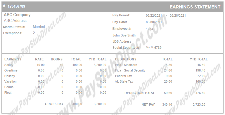 Make A Company Paystub PayStub Direct make-a-company-paystub-paystub-direct