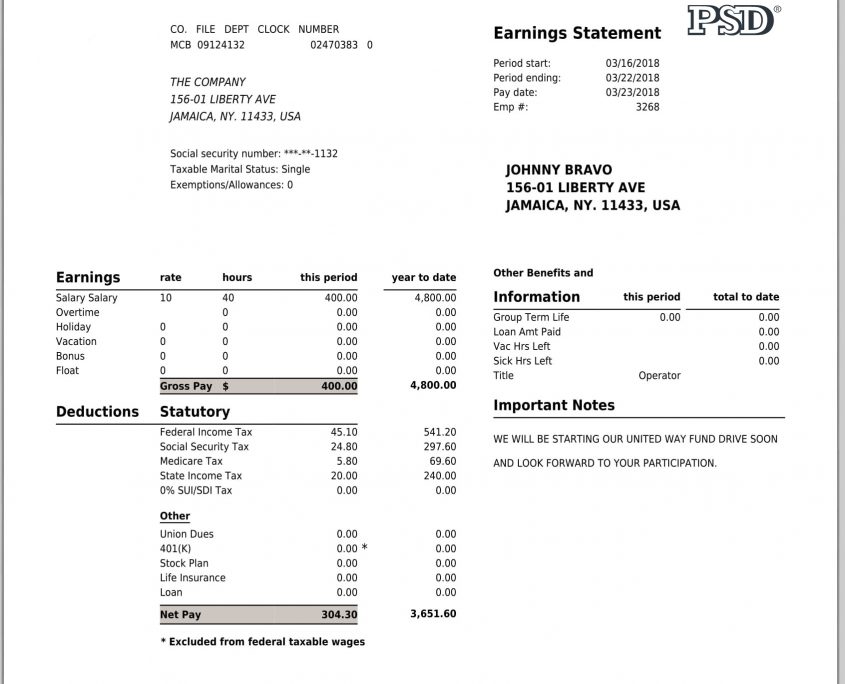 Paystub Style 1 Archives Pay Stub Direct